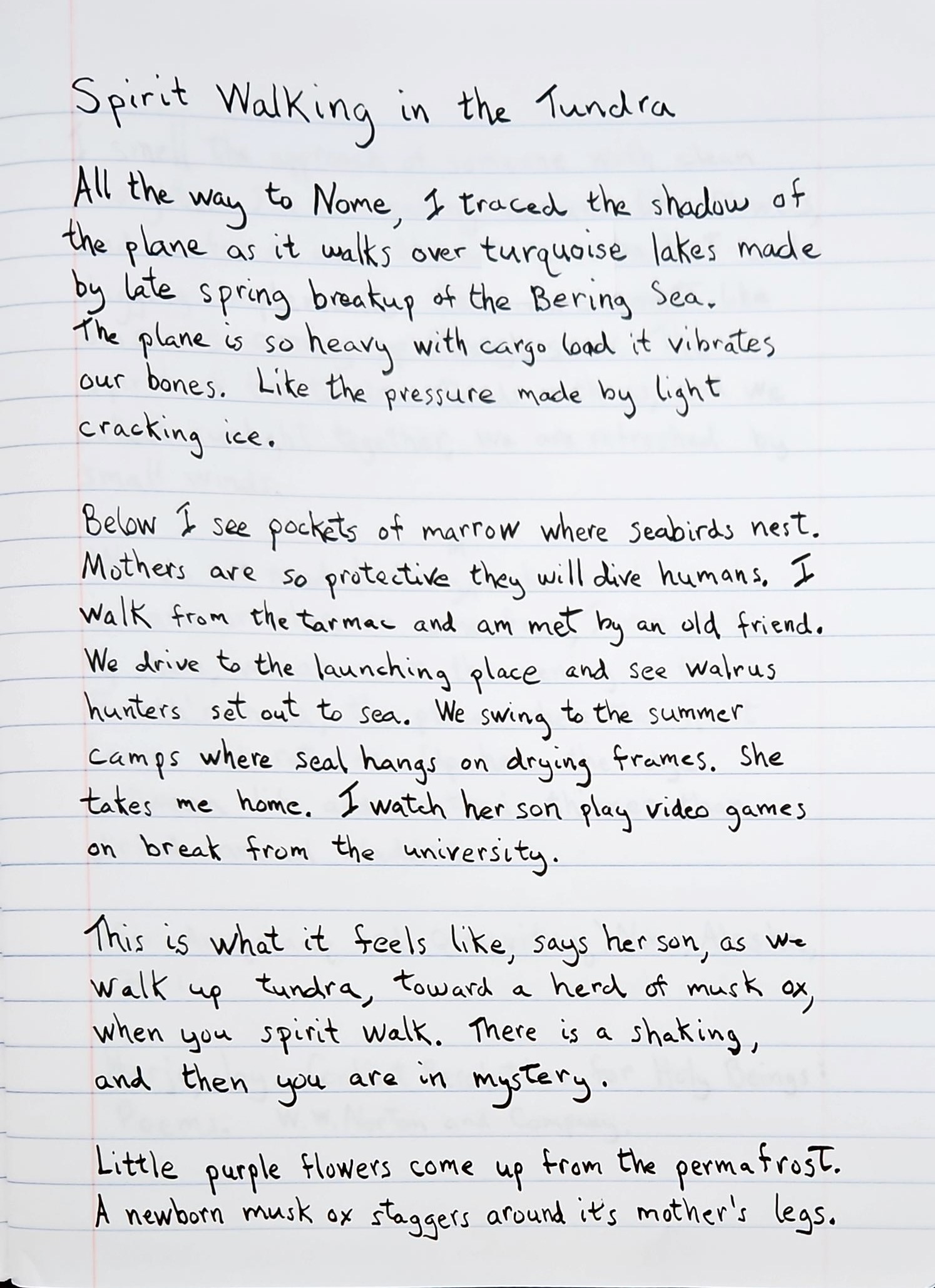 Spirit Walking in the Tundra – unflinching