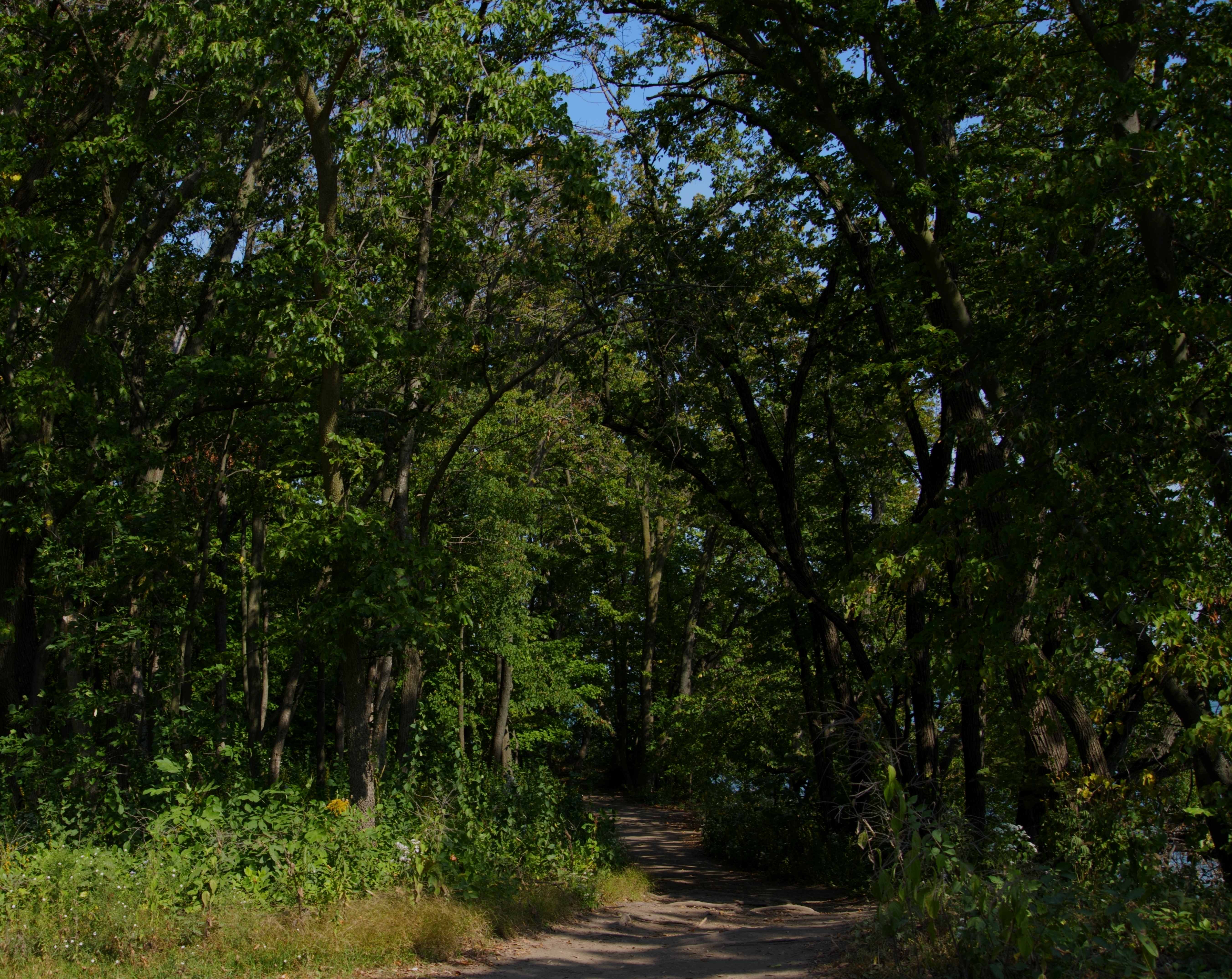 Into the wilderness – unflinching